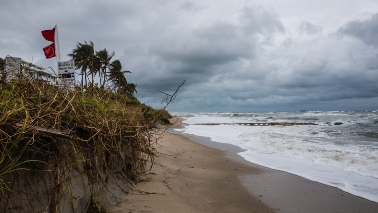Editorial: We must do more to address coastline’s distressed beaches ...