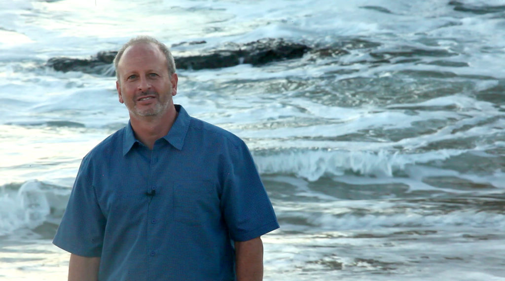 Studies show that mangroves are an effective and inexpensive defense ...