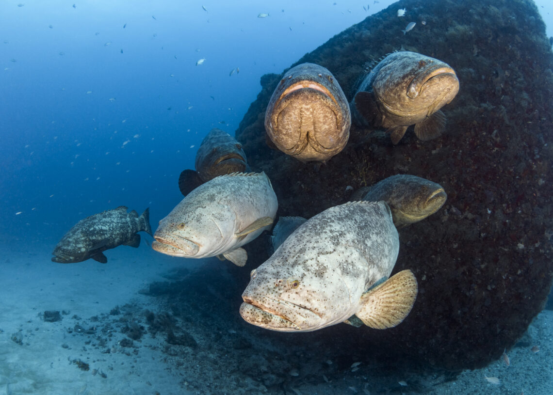 | The Invading Sea
