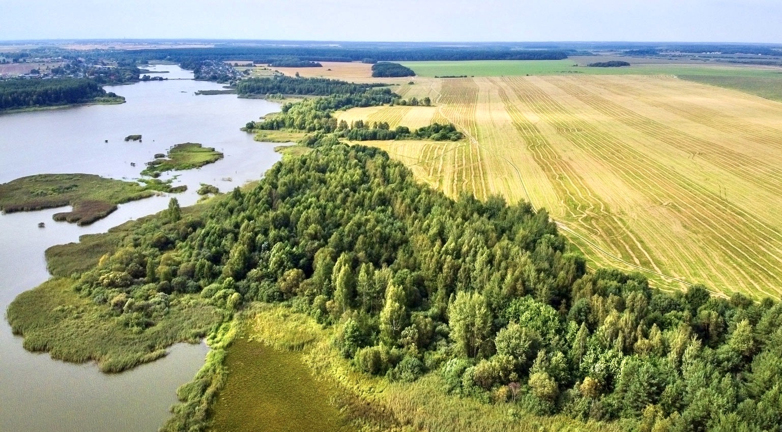 Saving wildlife and ecosystems benefits Floridians and the entire ...