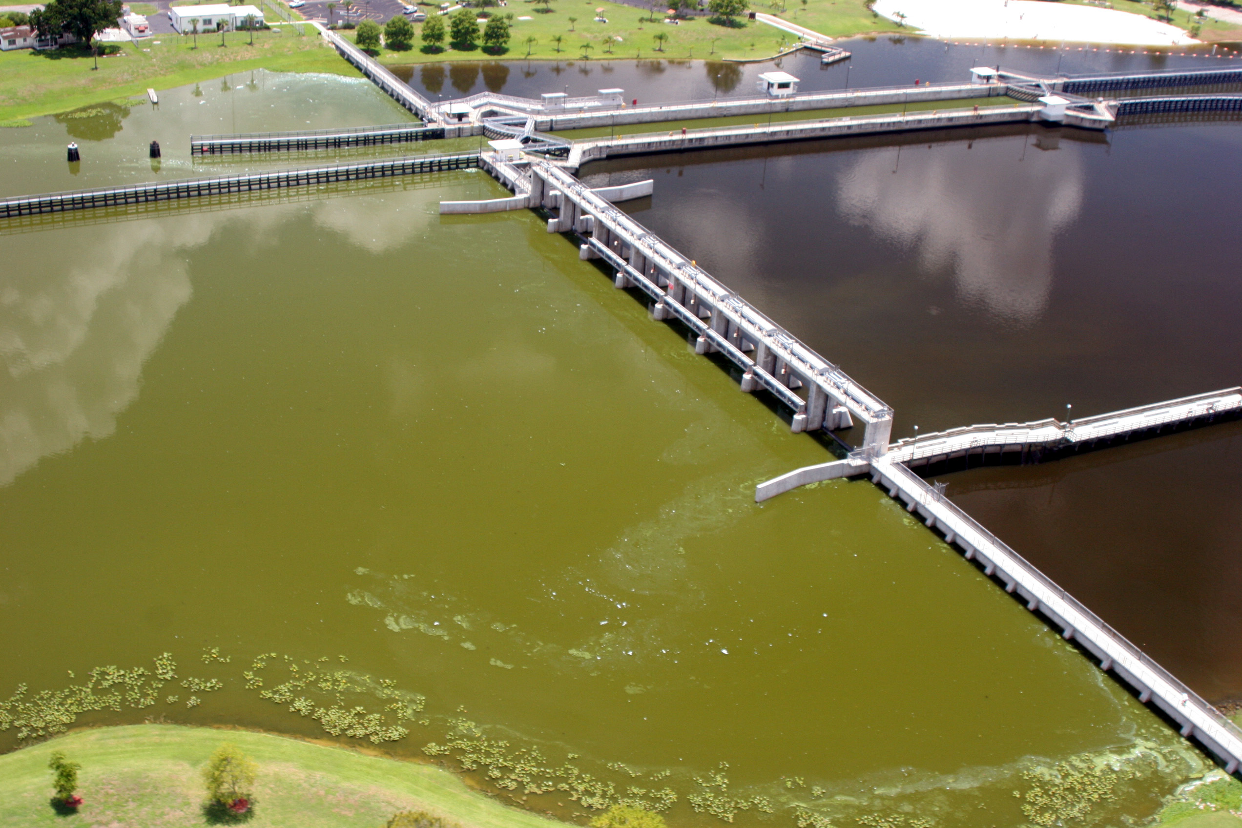 Florida’s growth and development stymie attempts to restore polluted ...