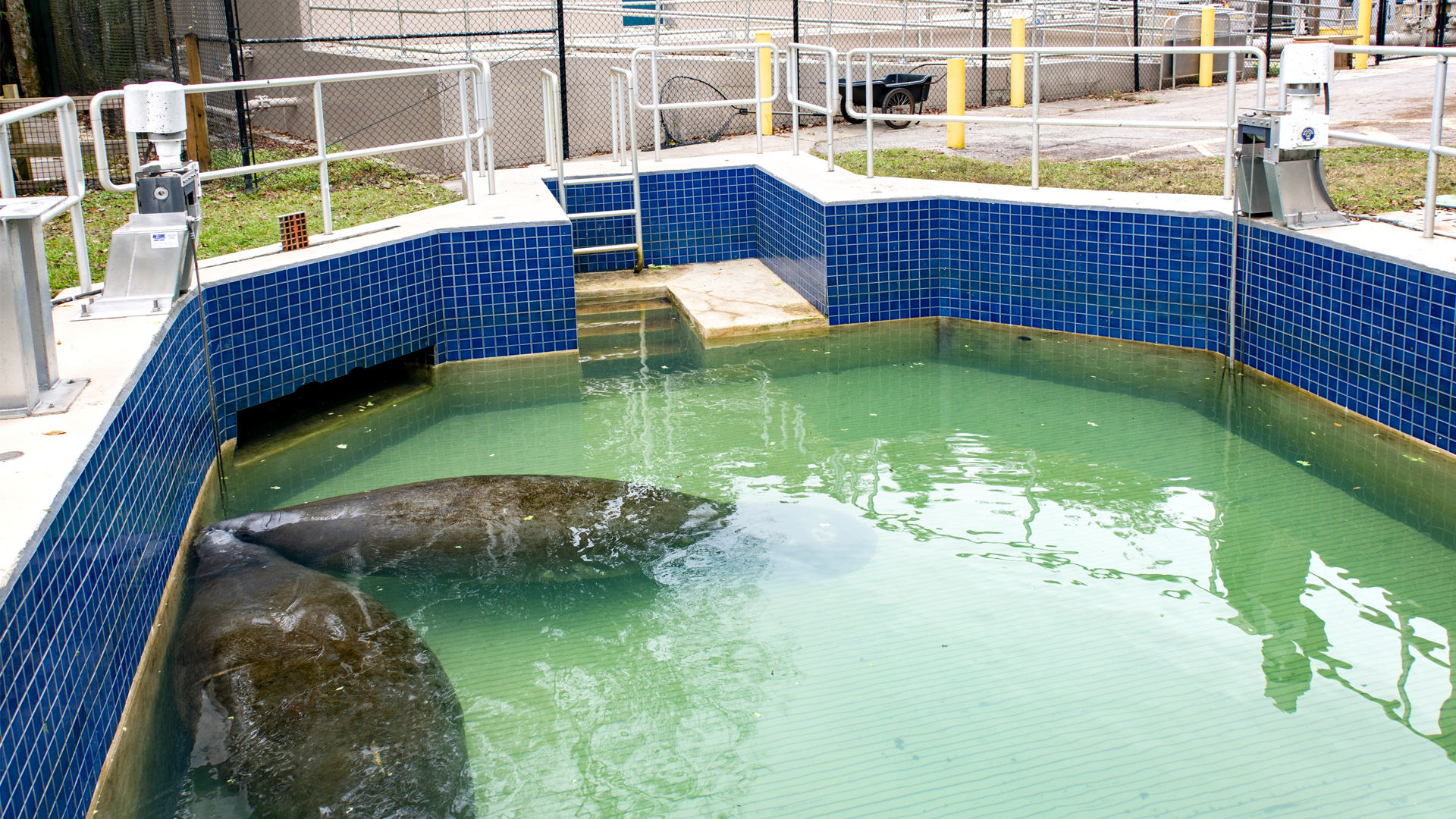 Florida's Right to Clean Water: Sign this petition before it's too late ...