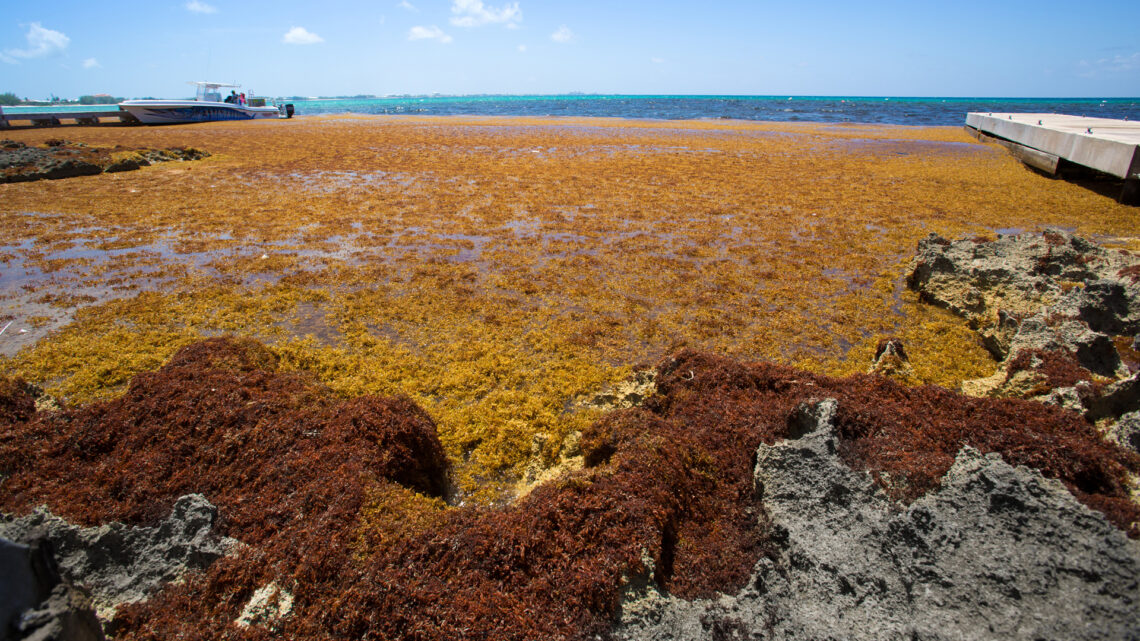 Coastal Florida faces challenges, conference offers climate solutions ...