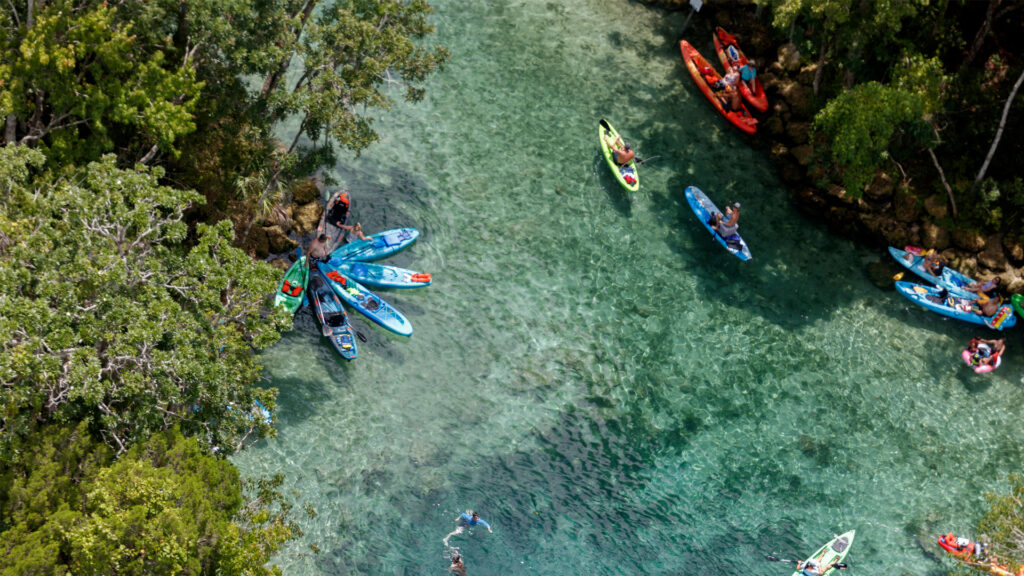 Florida's Right to Clean Water: Sign this petition before it's too late ...