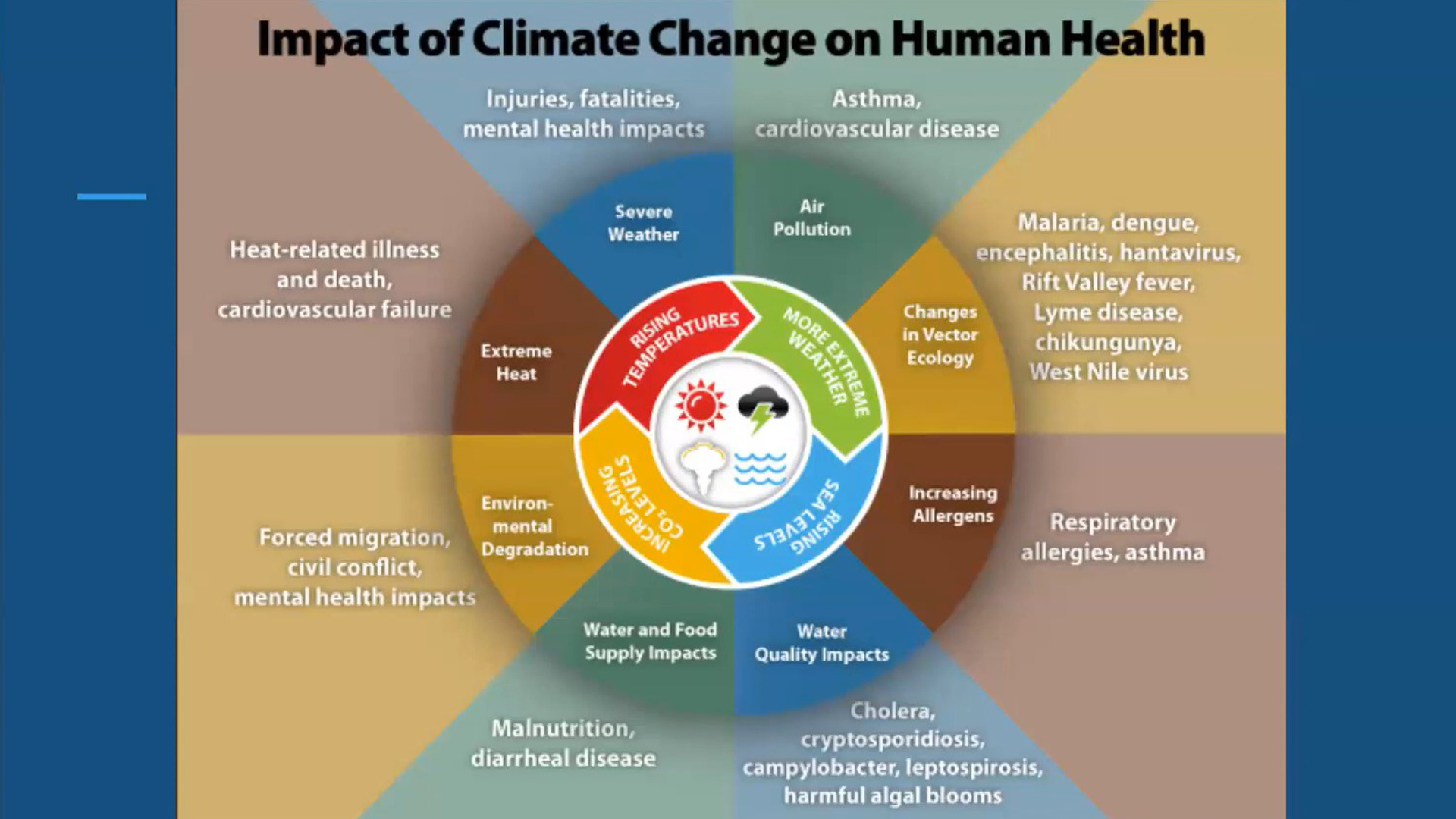 Video: Broward doctors discuss 'Your Health in a Changing Climate ...