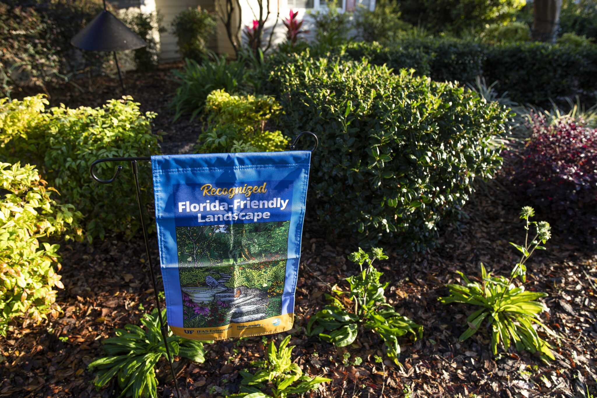 The invisible benefits of landscapes: Florida’s nurseries deliver ...