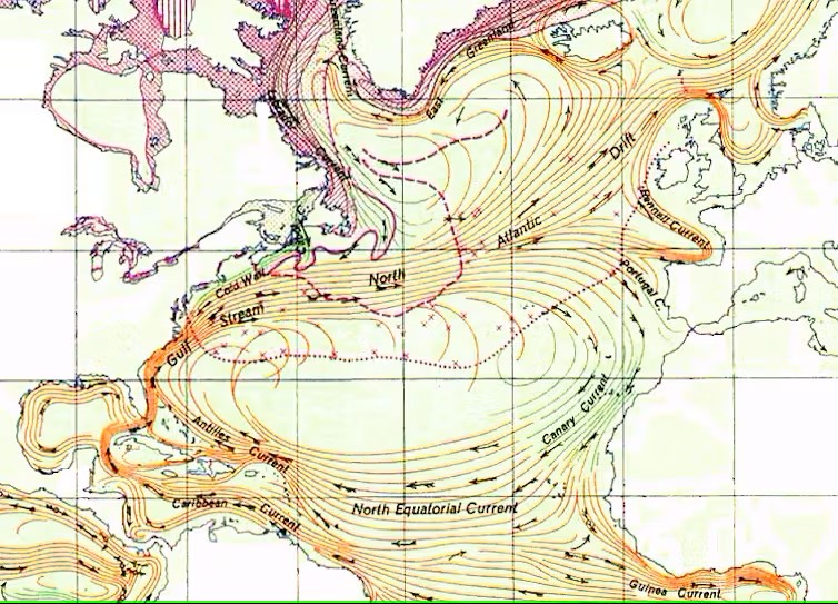 The Great Atlantic Sargassum Belt is carrying a massive bloom of brown ...