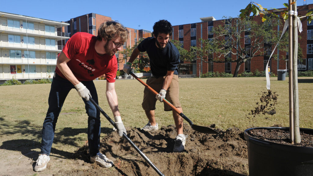 Arbor Day: Why planting trees isn’t enough | The Invading Sea