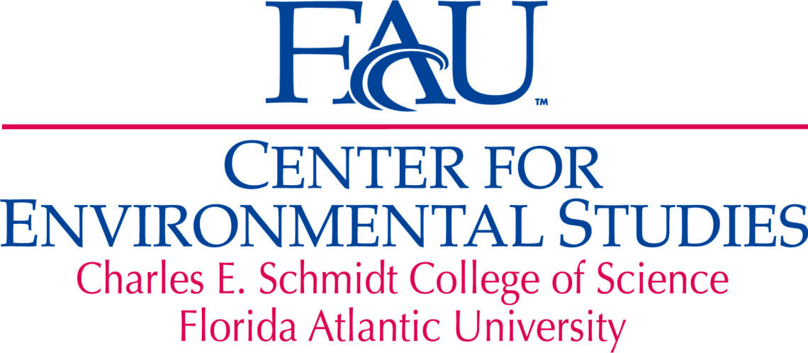 Protecting coastal cities while protecting the environment: Anya ...