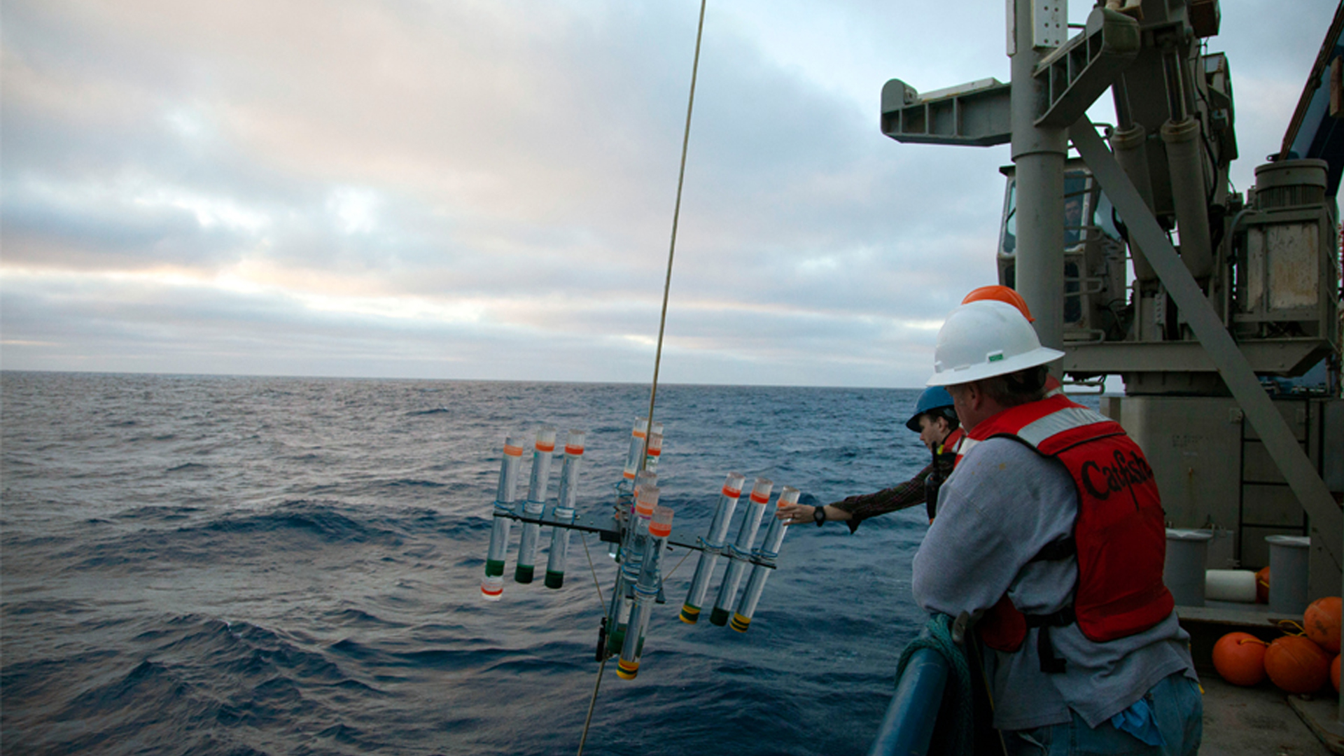 FSU researchers analyze carbon sequestration in California Current ...