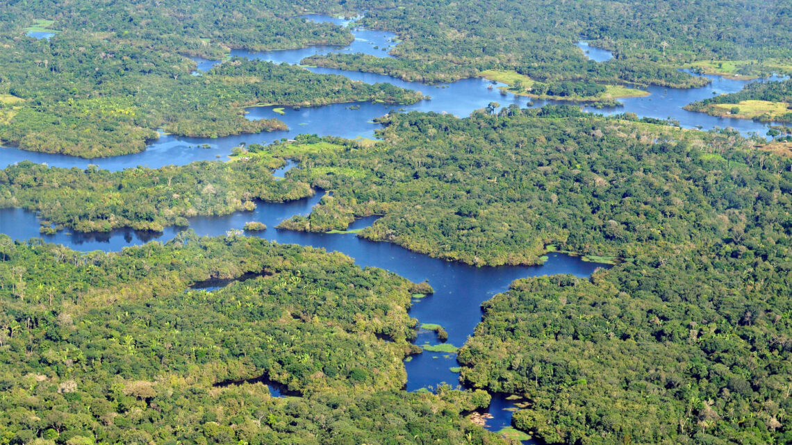 Scientists call for conservation of Amazon’s unseen water cycle | The ...