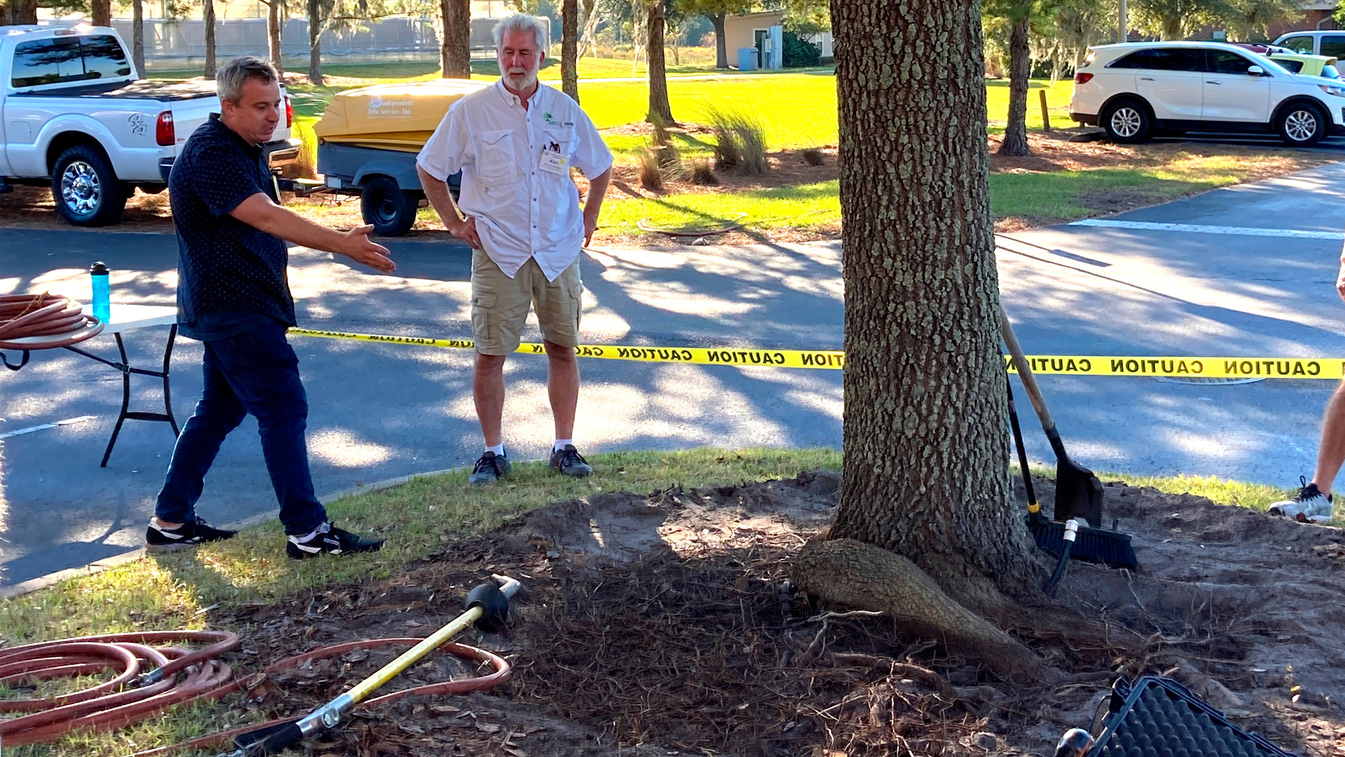 Urban Florida residents want to protect their cities’ tree canopy ...