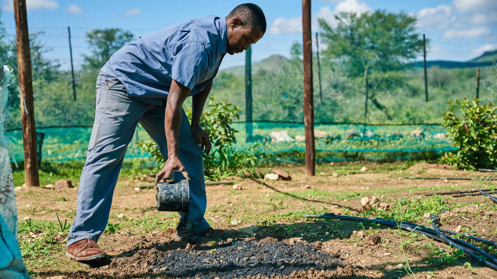 Biochar: A game changer for Florida's climate change challenges? | The ...