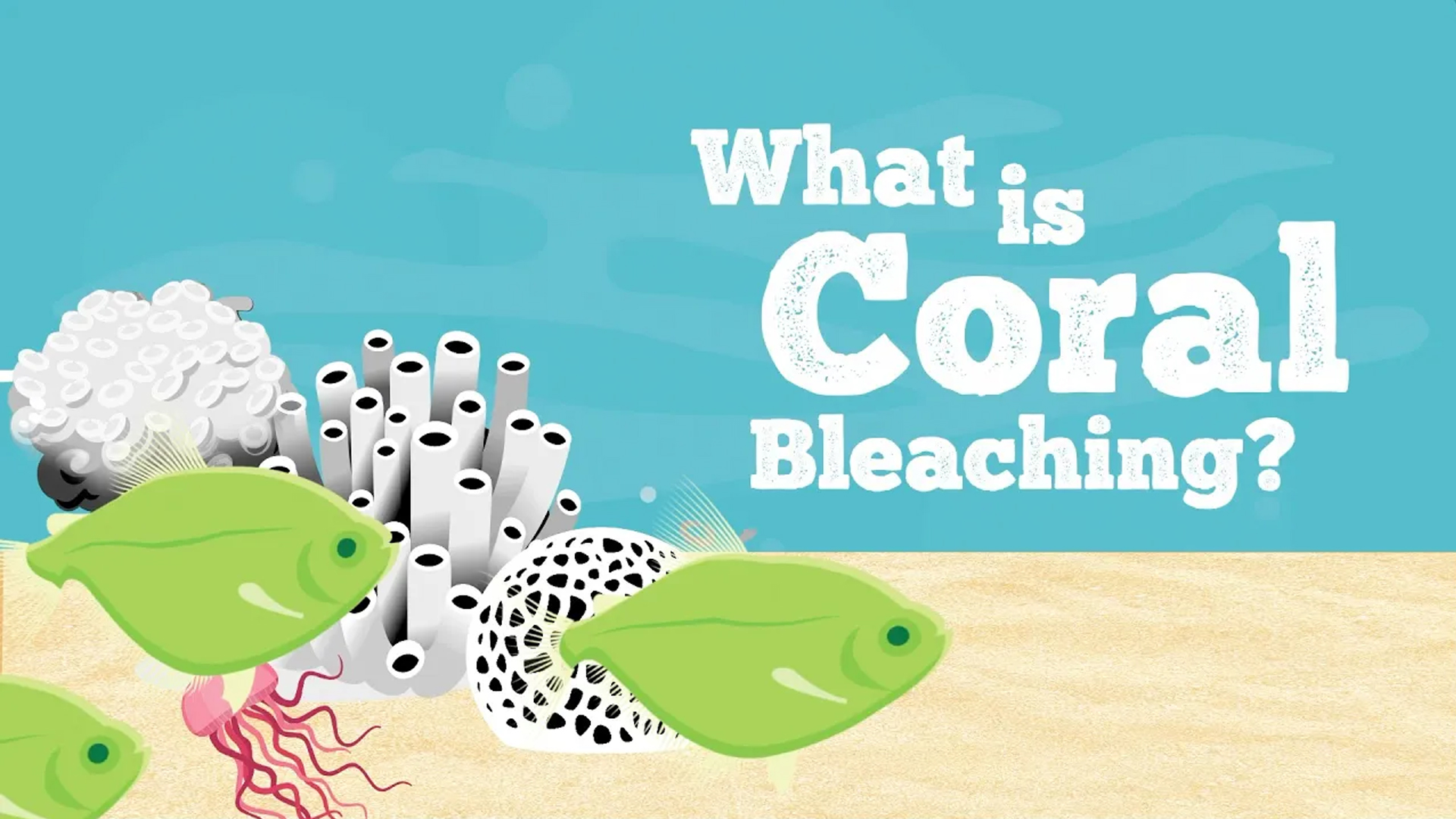 Video: What is coral bleaching? | The Invading Sea