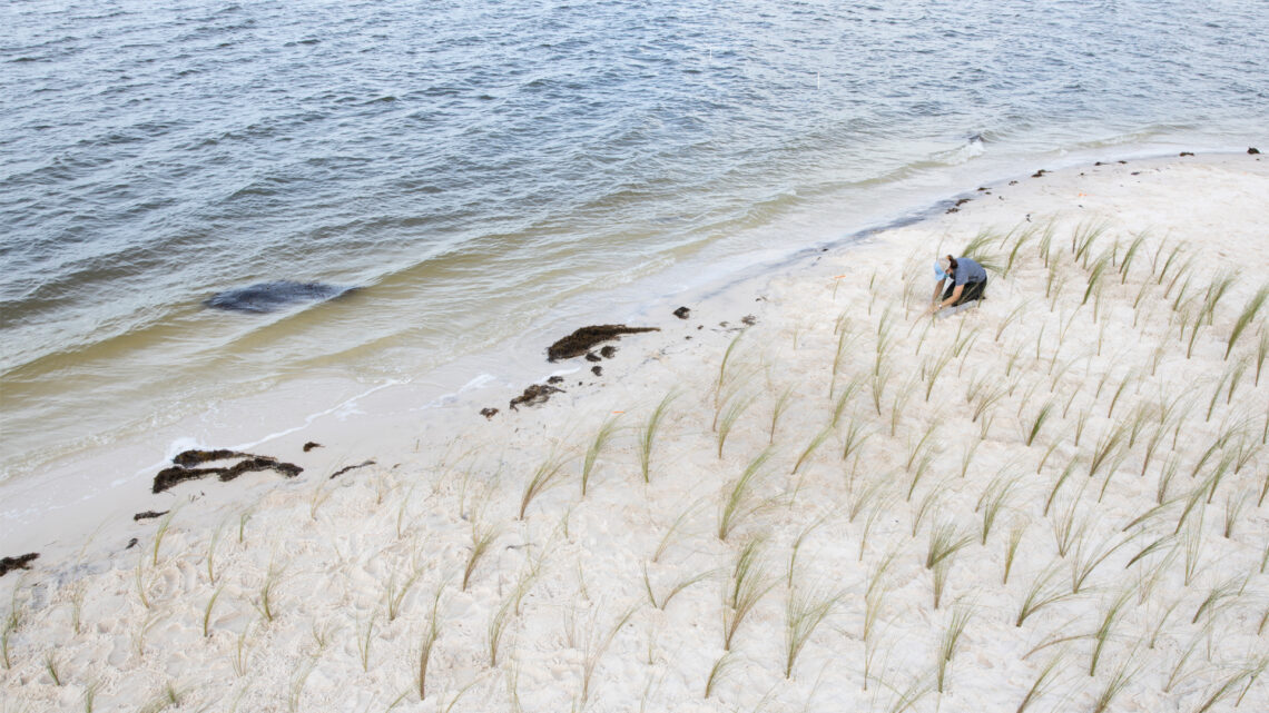 Study reveals growing interest in natural shorelines | The Invading Sea