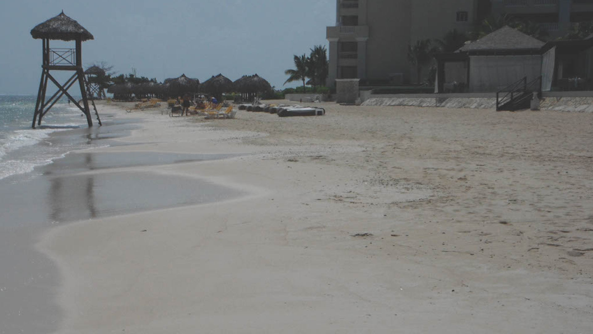 A new plant-based solution may be the next step in preventing beach ...