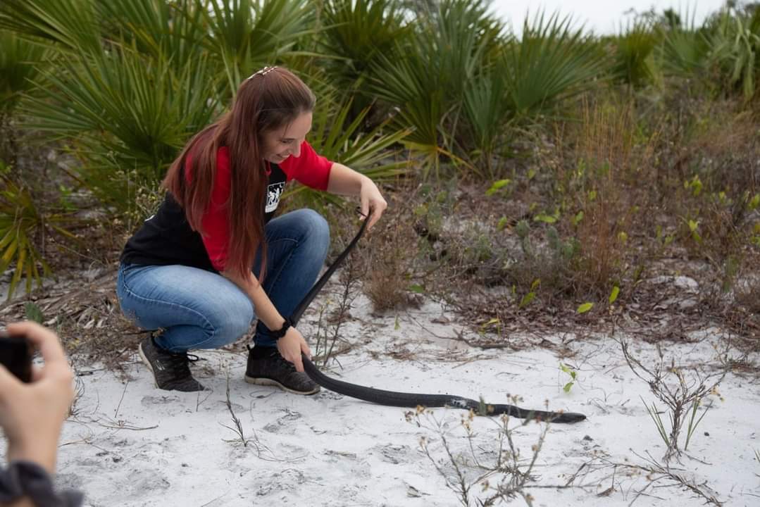 Swamp Girl: making waves in the world of reptile and amphibian ...