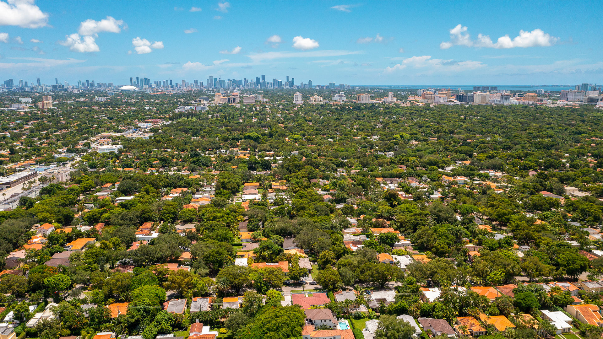 The trees of Miami’s future | The Invading Sea