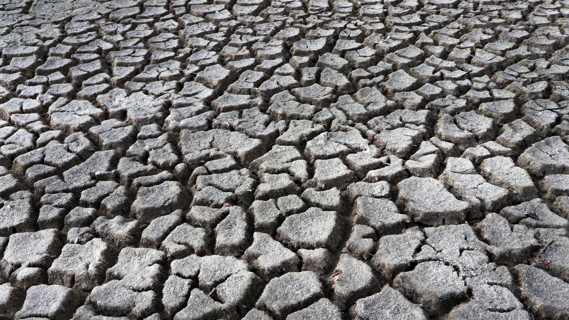 Thirsty in paradise: Water crises are a growing problem across the ...