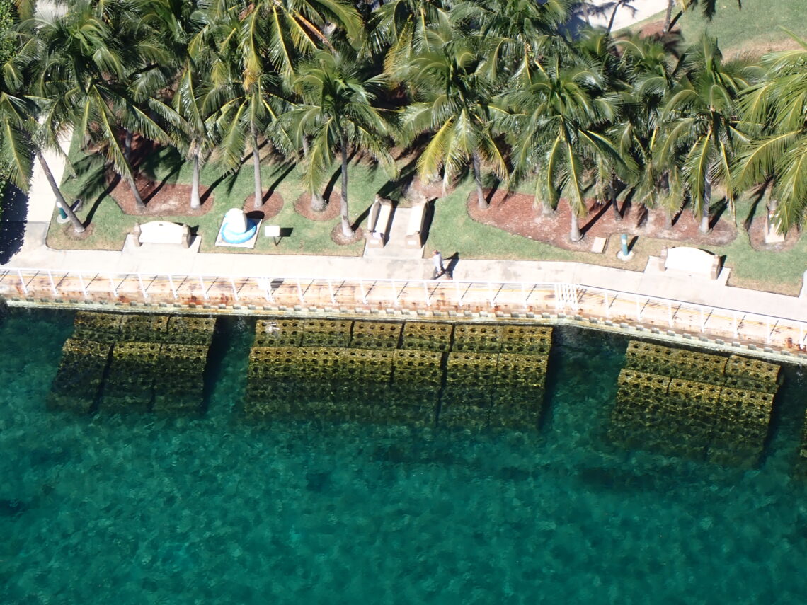 An 'effective and sustainable way' to protect Florida's coastline ...