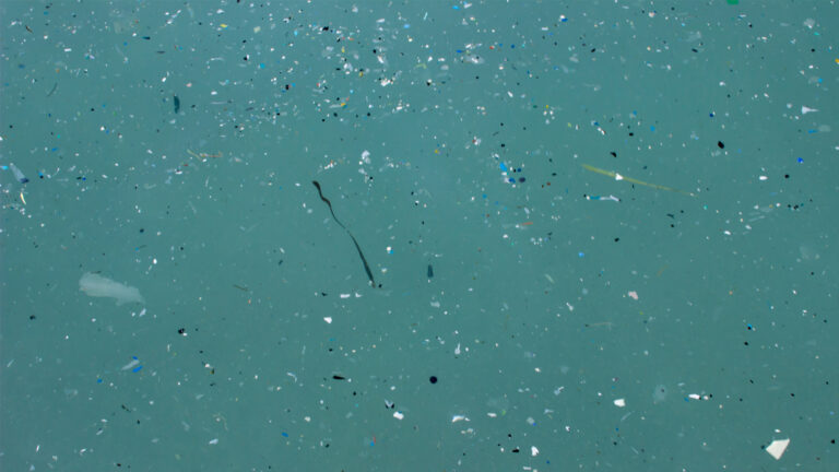 Microplastics promote cloud formation, with likely effects on weather ...