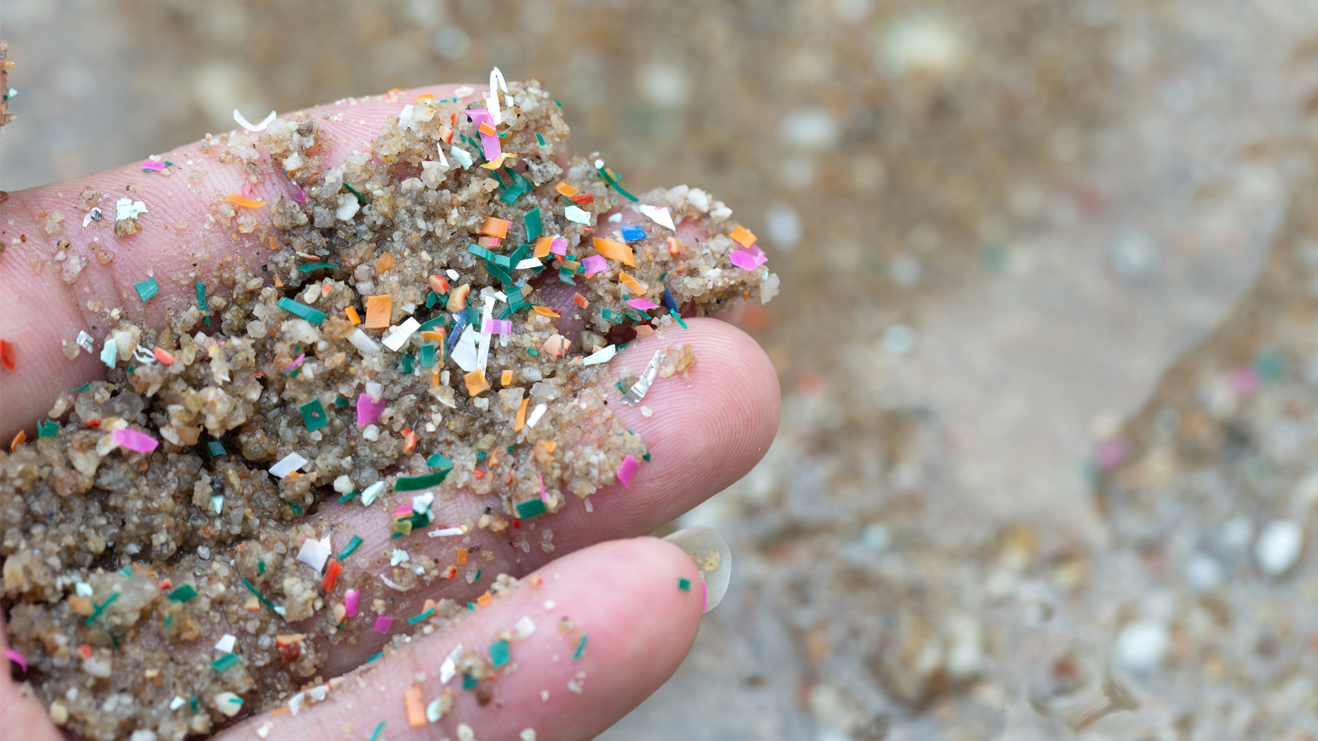 Tracking microplastics: FAMU-FSU researcher helps discover how ...