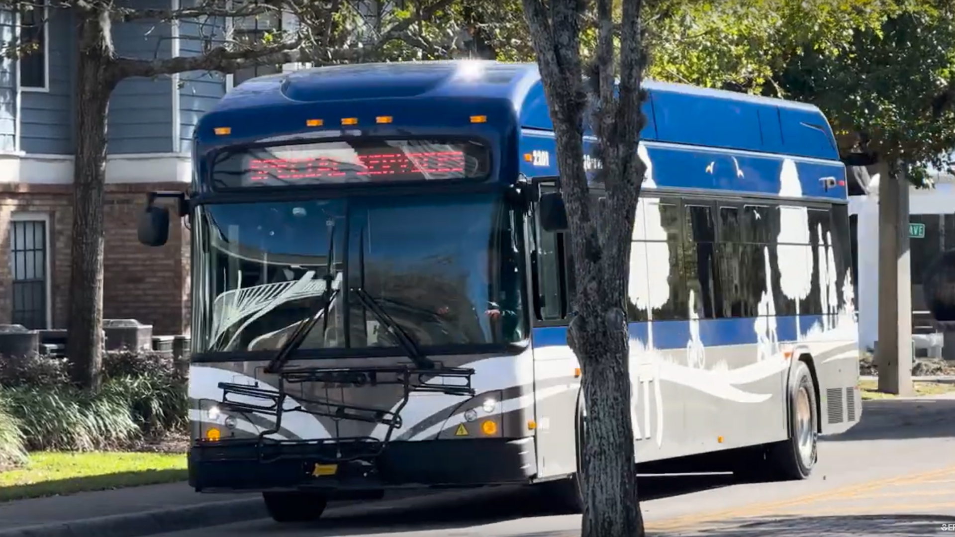 Video: Gainesville's 'Electric Bus Revolution' | The Invading Sea
