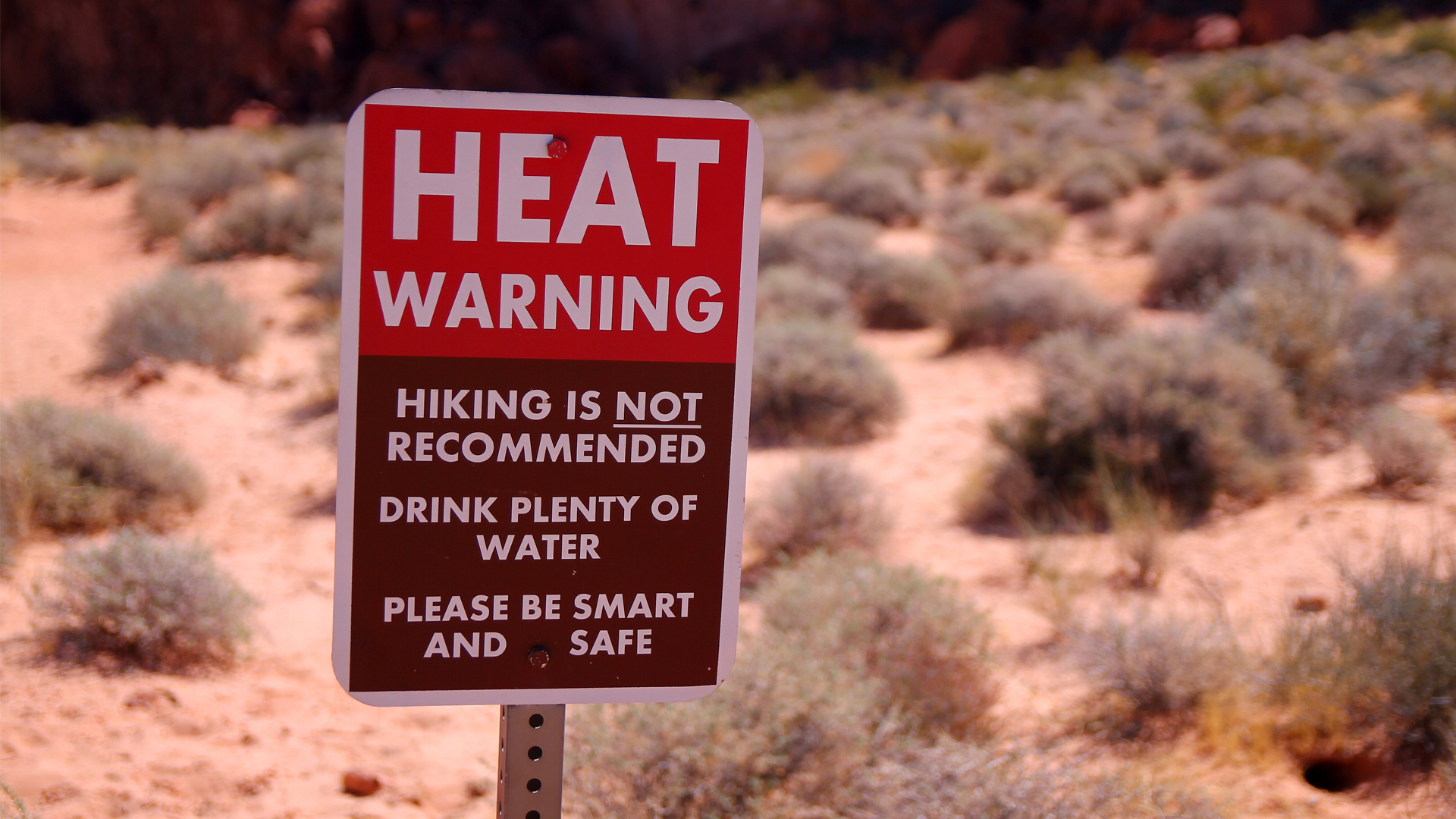 Dangerous heat grips the US for another record-shattering summer | The ...