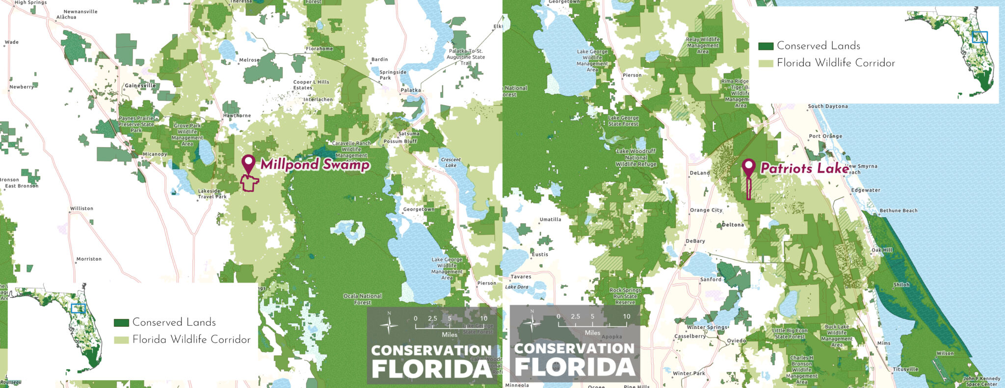 Conservation Florida, MDS Land Conservation Foundation launch ...