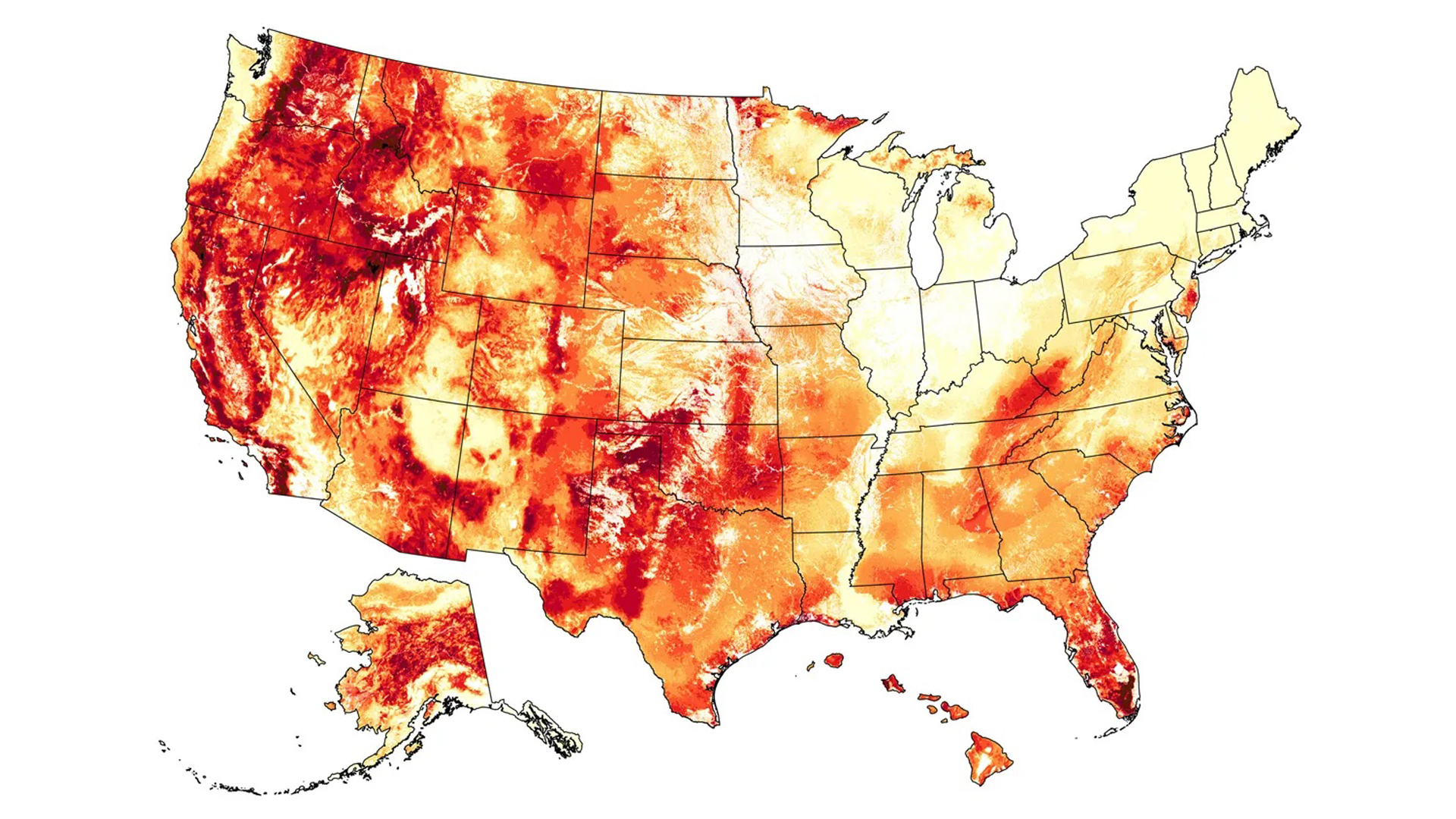 New map reveals high wildfire risks for Florida amid heat wave | The ...