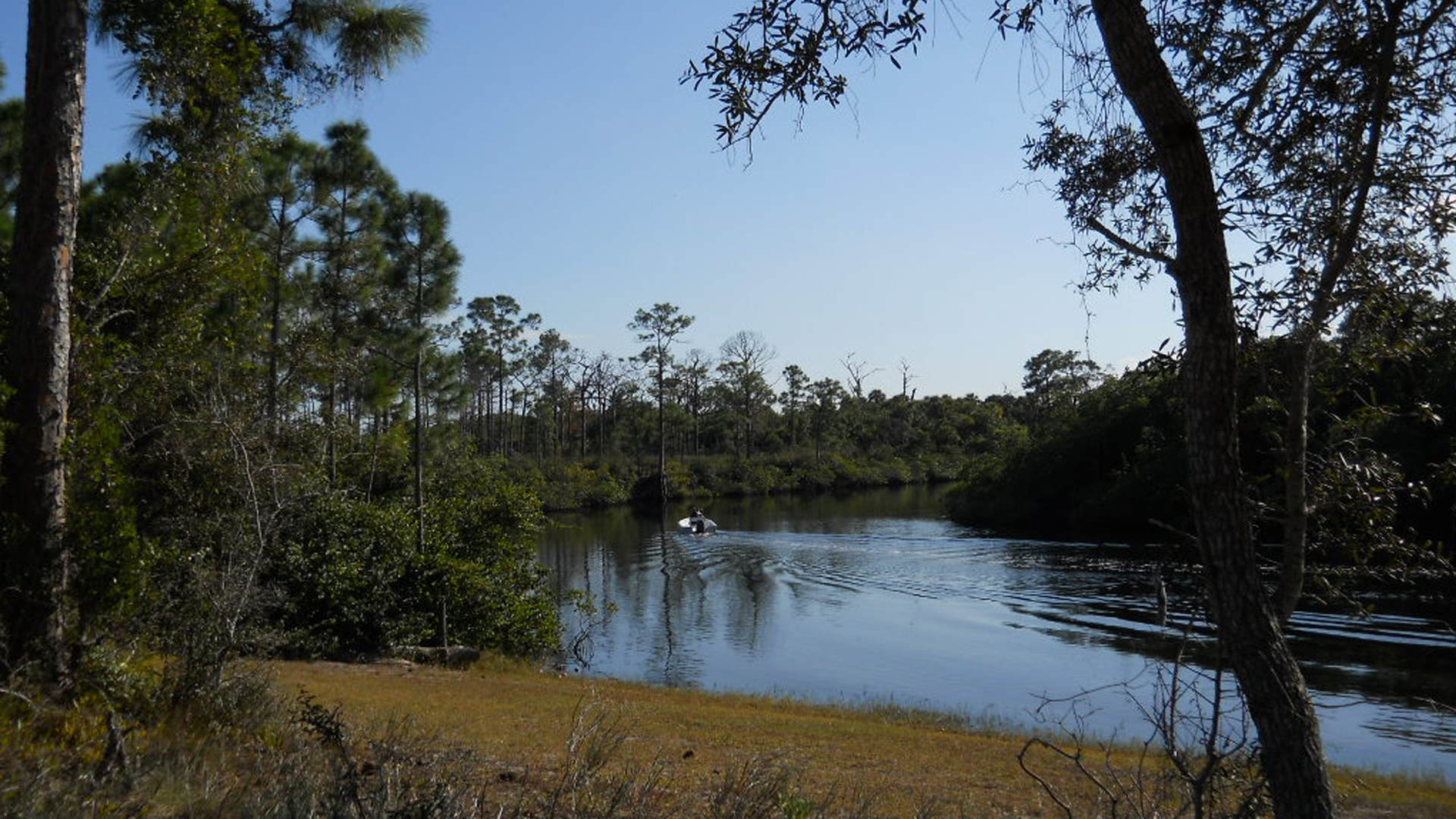 Parks plan shelved, but DeSantis needs to kill it | The Invading Sea
