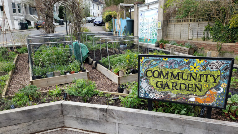 Community gardens reflect a vibrant political tradition long dismissed ...