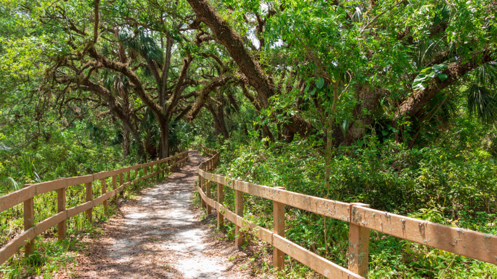 Nature is not a luxury. Here’s how we’re expanding outdoor access for ...