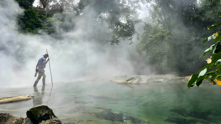 A window into the future of Amazonia | The Invading Sea