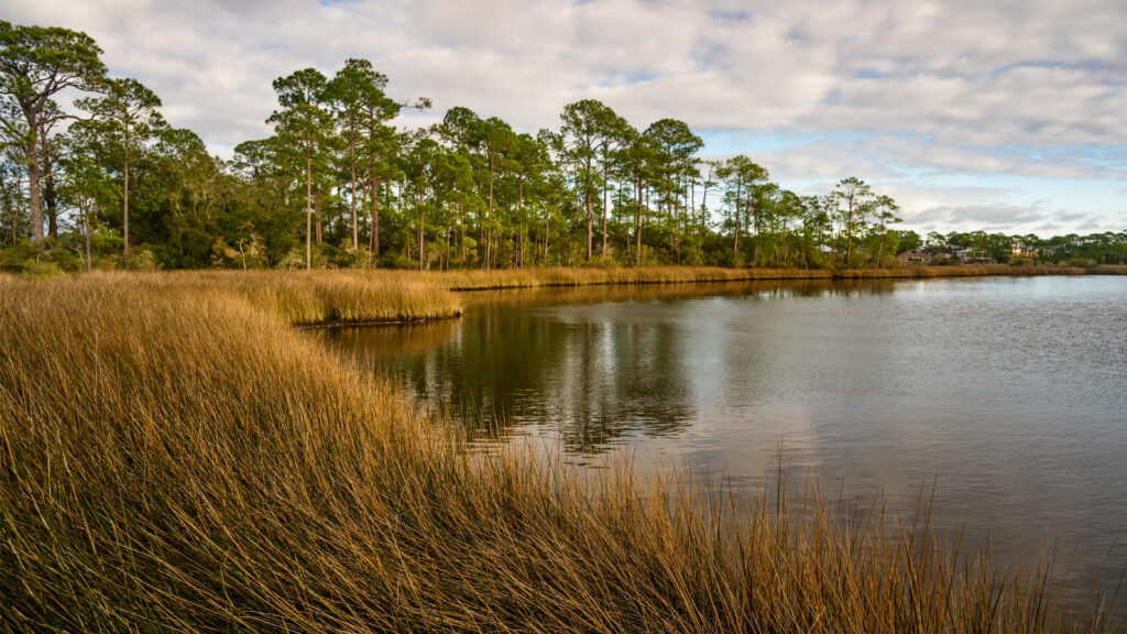 Conservation Florida protects coastal marsh in Perdido Bay | The ...