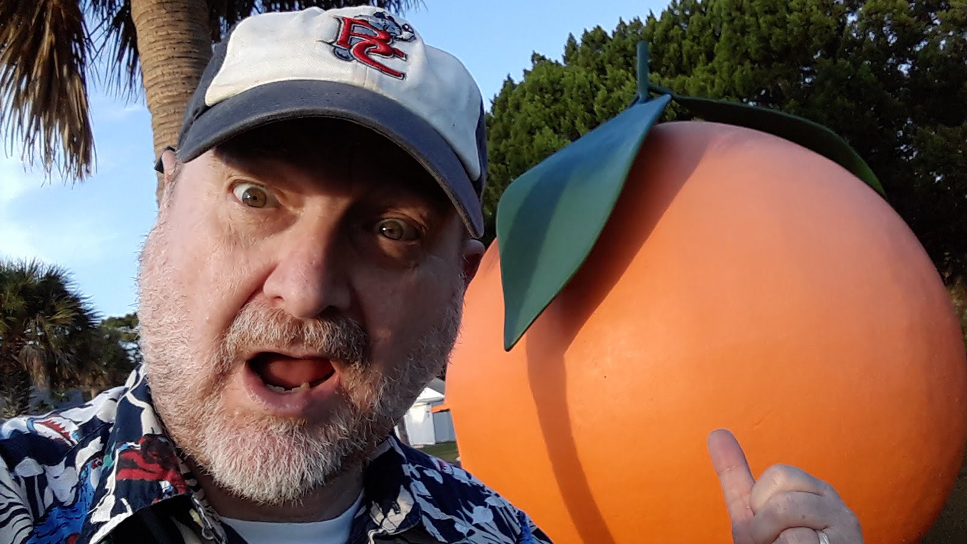 Writer shows how Floridians can leverage satire into political power ...
