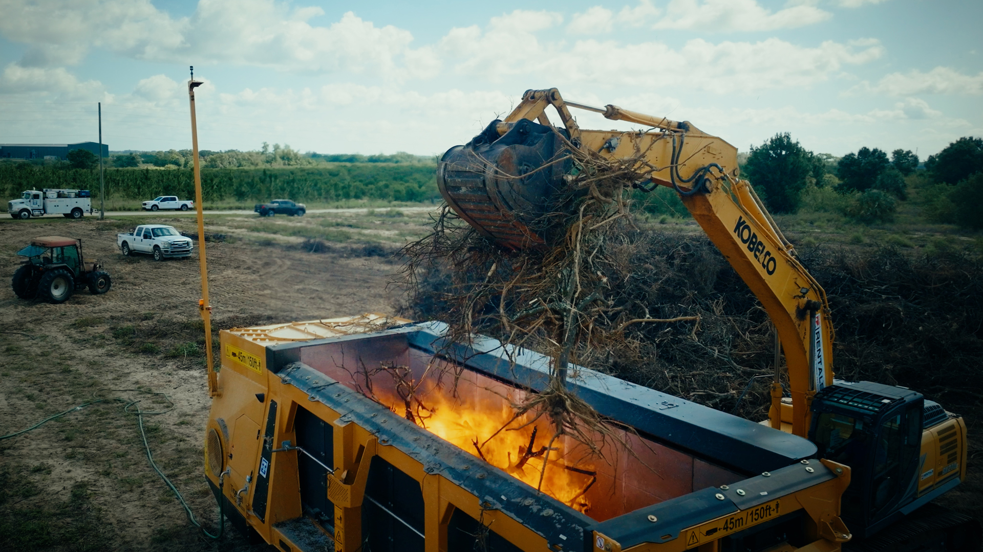 Old and dying citrus groves being converted into tool for water and ...