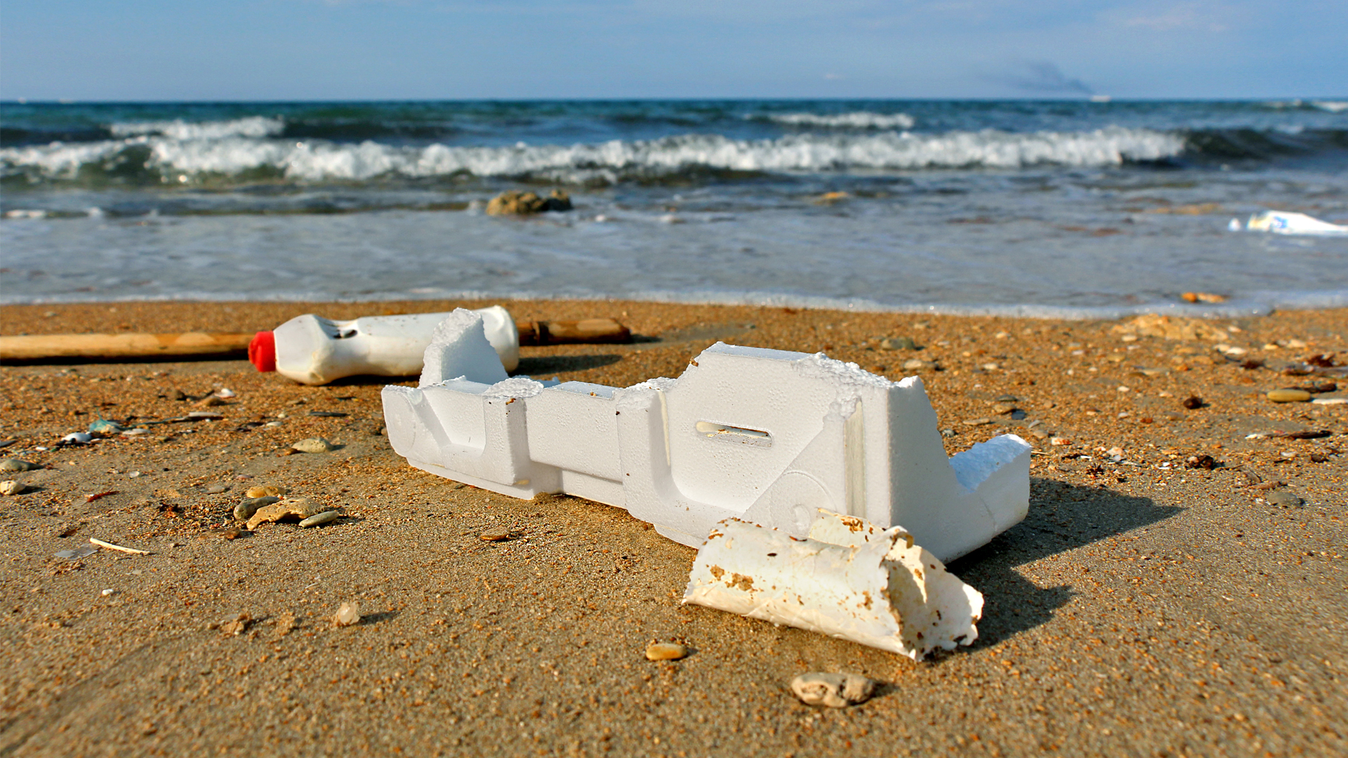 Phasing out plastic foam would prevent beach pollution and other ...