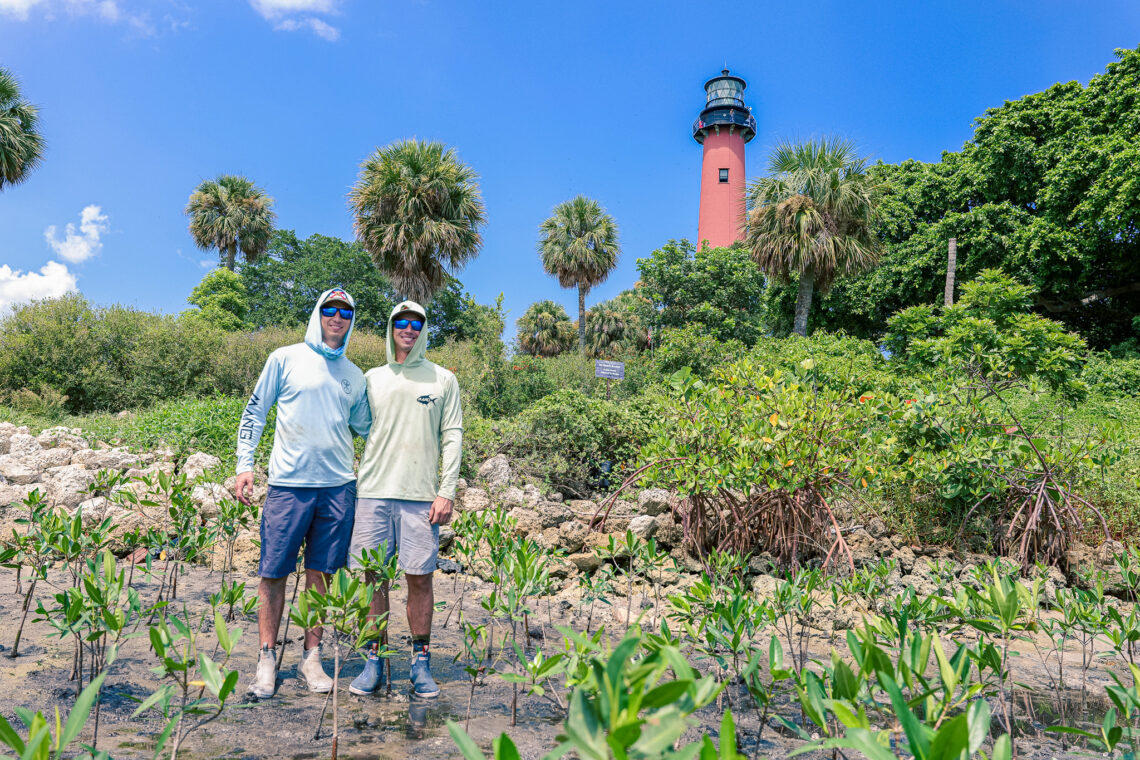 How MANG rooted its brand in mangrove conservation | The Invading Sea