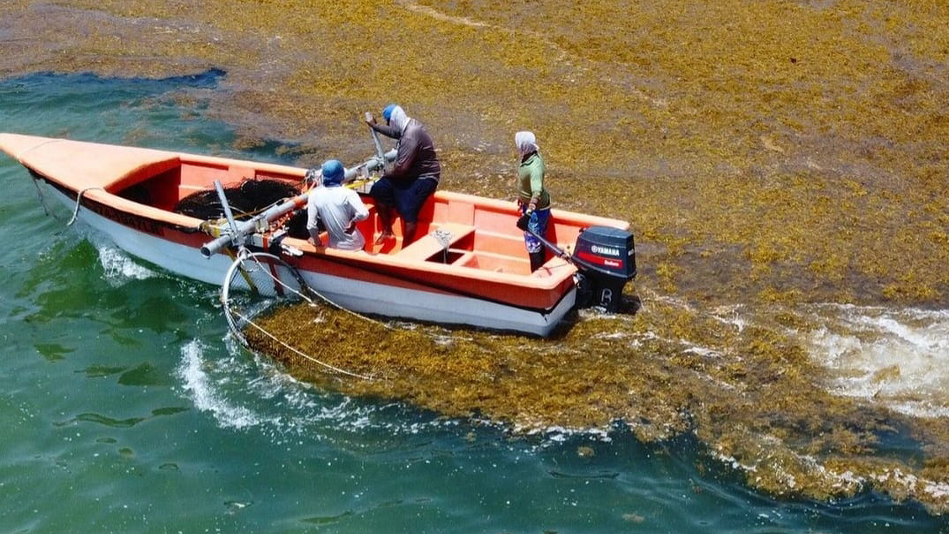 SOS Biotech turns a growing ocean problem into innovation | The Invading Sea