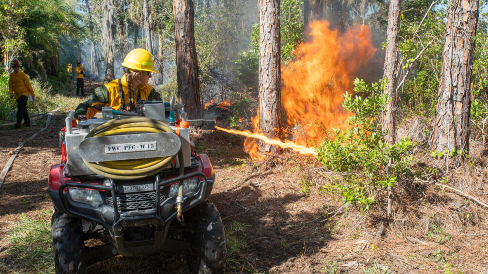 Persuading the flames: Prescribed burning helps ensure ecosystem ...