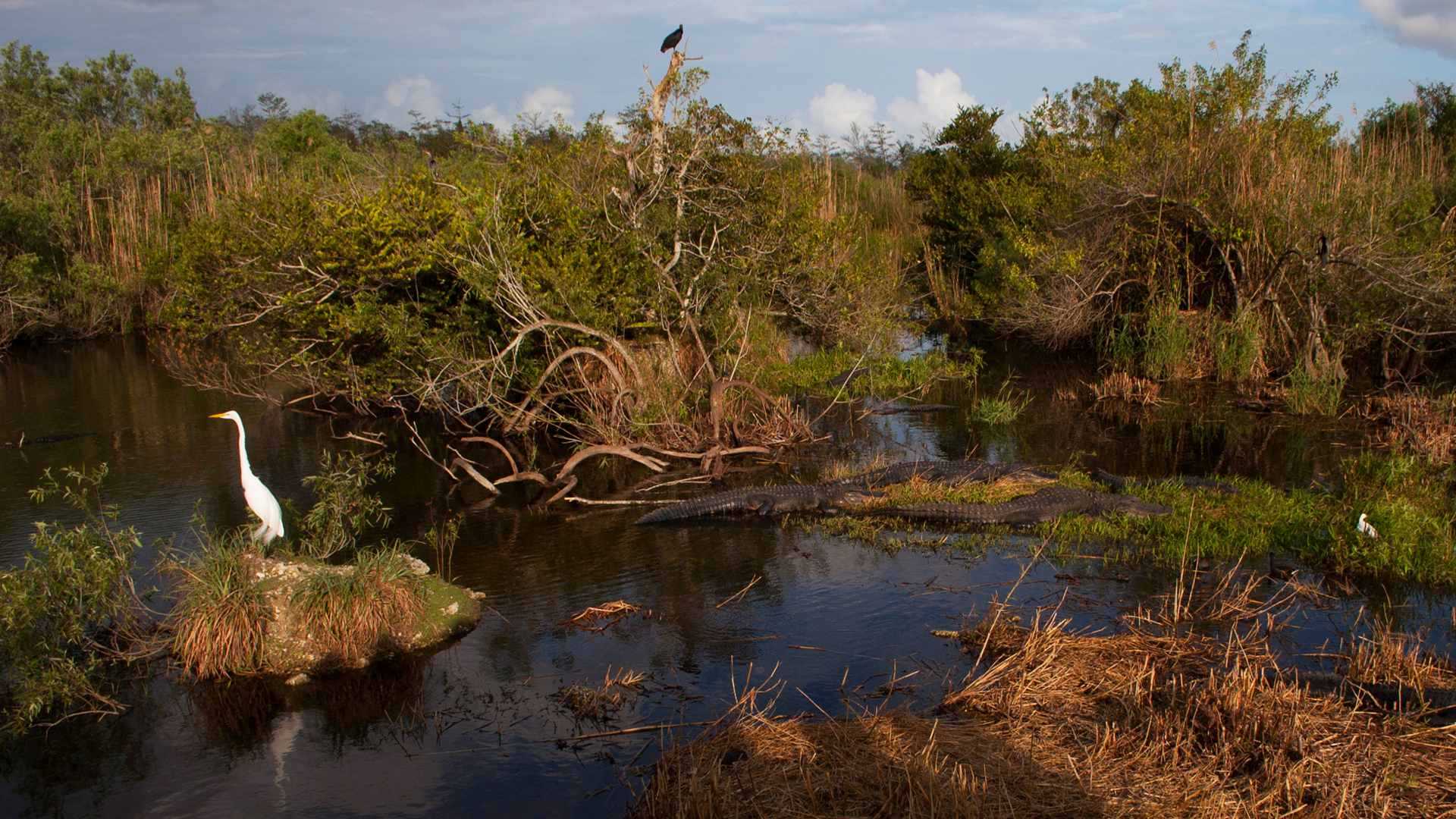 For the sake of Florida’s national parks, keep offshore drilling off ...