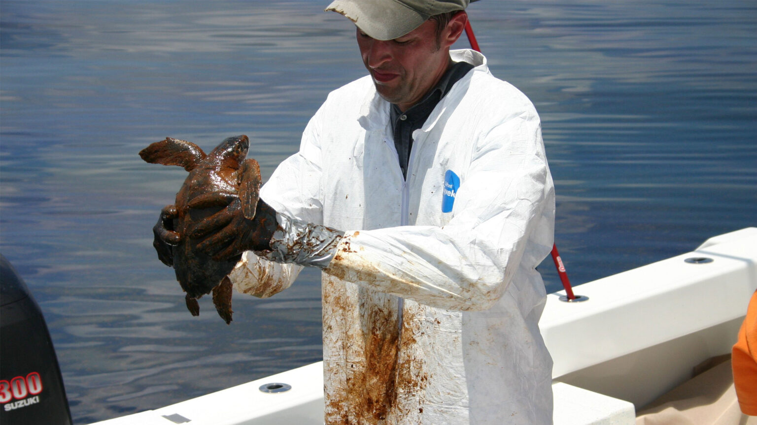 World Sea Turtle Day: Celebrating paths to conservation success | The ...