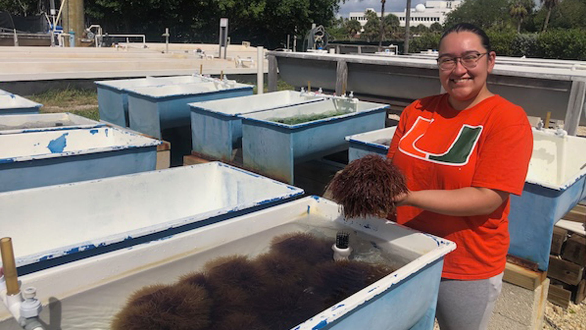 Algae-powered concrete earns University of Miami project top prize ...