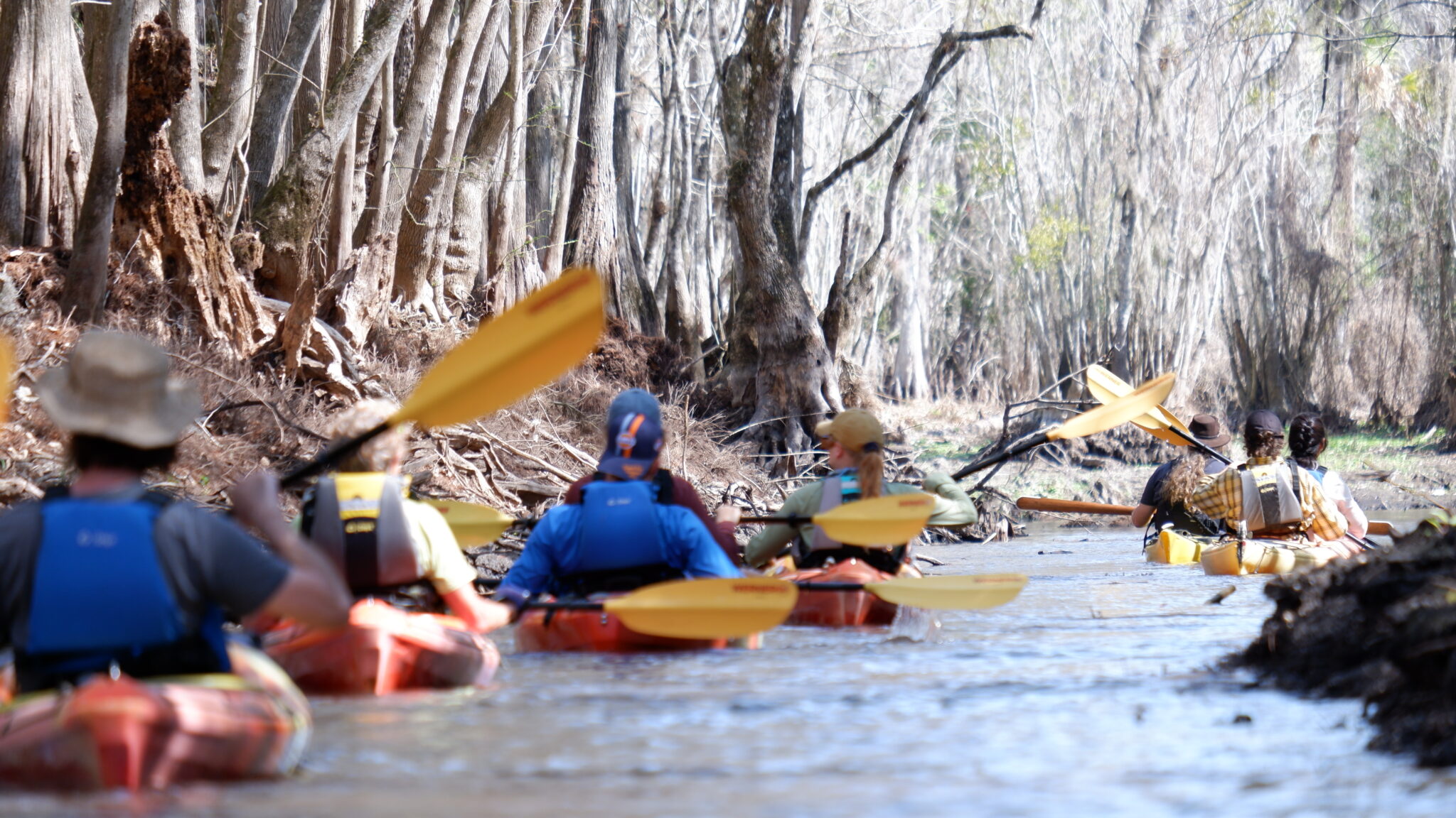 As drawdown reveals drowned forest, Kirkpatrick Dam debate continues ...
